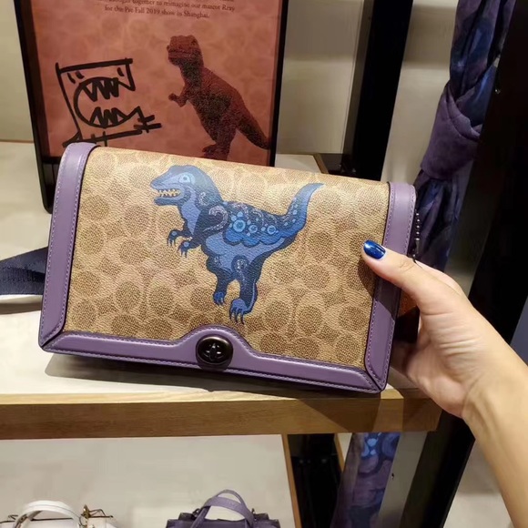 Coach | Bags | Coach Riley Crossbody Bag In Signature With Rexy | Poshmark